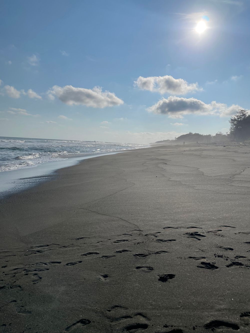 [인도네시아] 게 잡기 좋은 족자 사마스해변 (Pantai Samas)